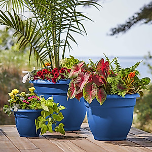 Bloem Ariana Self Watering Planter 8" Classic Blue (AP0833)
