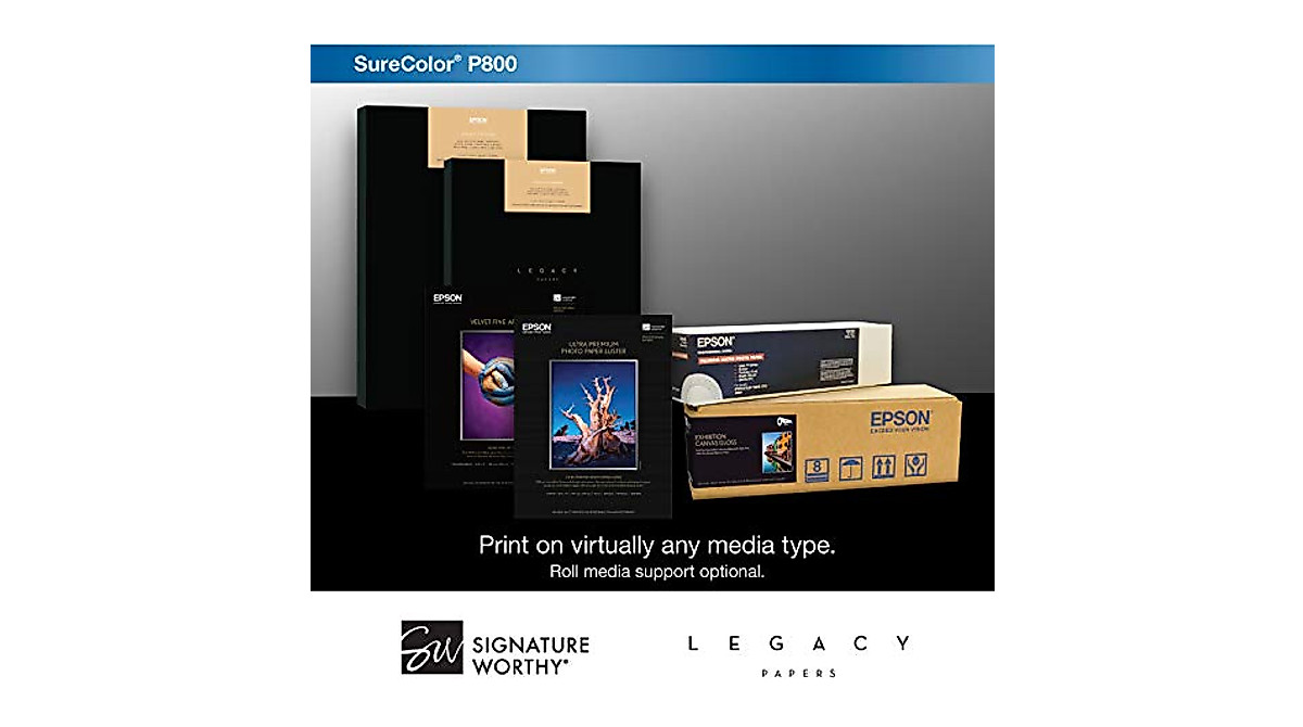 Epson SureColor P800 17" Inkjet Printer for Professional Photos