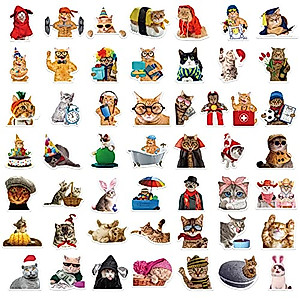 200 Pcs Cute Cat and Dog Stickers, Cat Funny Meme Waterproof Stickers,Vinyl Stickers for Water Bottle,Laptop,Phone,Skateboard Stickers for Kids Aldult Teens Girls (CDE)