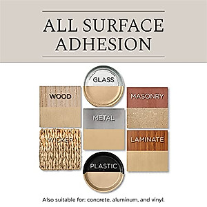 Rust-Oleum 261415 Universal All Surface Metallic Mist Spray Paint, 11 oz, Champagne Mist