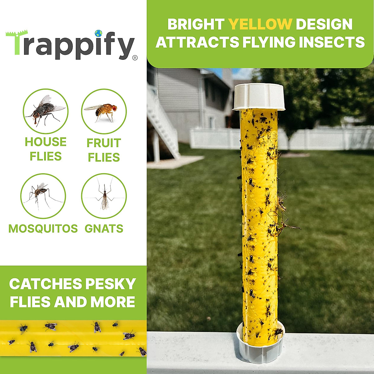 Trappify Hanging Fly Traps Outdoor: Fruit Fly Traps for Indoors | Gnat Trap | Gnat Traps for House Indoor | Fly Trap Indoor - Disposable Sticky Fly Trap for Indoor House Pest Control (4 Pack)