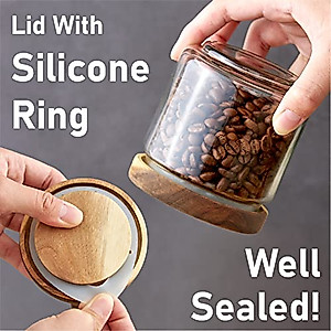 SOUL ONE 17oz (500 ML) Small Stackable Glass Cookie Jar with Wide Mouth Airtight Wooden Lid, Clear Candy Jar, Sugar Jars for Kitchen, Round Organization Container for Coffee Bean, Tea, Nut - Acacia