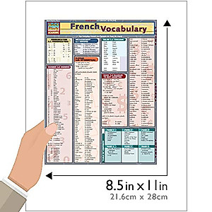 French Vocabulary QuickStudy Laminated Reference Guide (QuickStudy Academic)