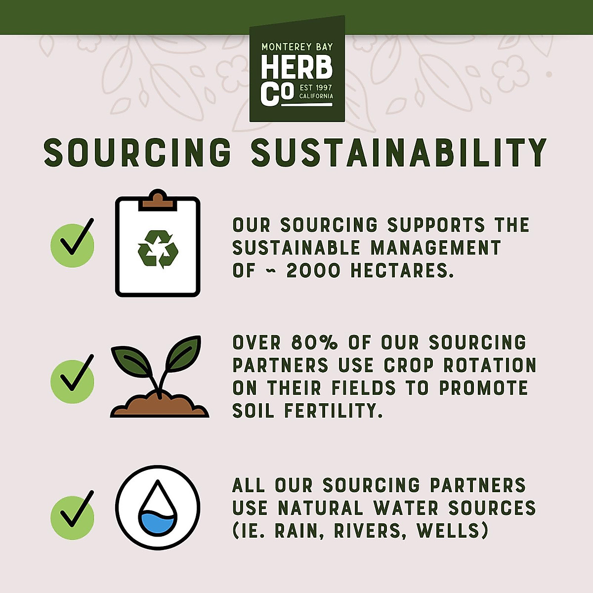 MONTEREY BAY HERB CO. Bee Pollen Powder | Bee Bread | Use for Skin Care or Add to Teas, Coffees, Spreads, or Baked Goods | Powdered | 1 LB