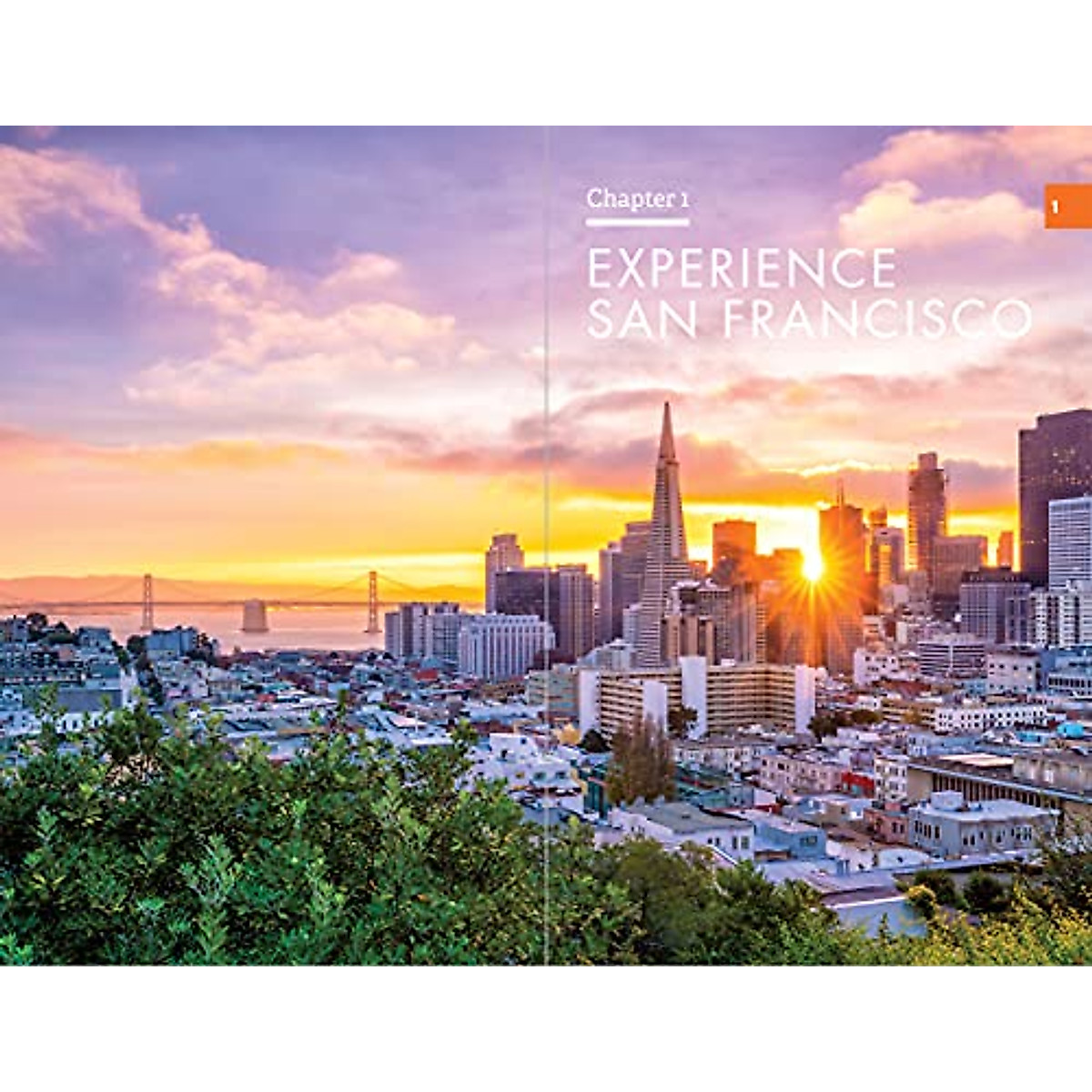 Fodor's San Francisco: with the best of Napa & Sonoma (Full-color Travel Guide)