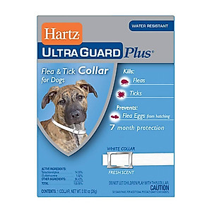 Hartz UltraGuard Flea & Tick Collar for Dogs and Puppies - 22" Neck, 7 Month Protection (pack of 4)