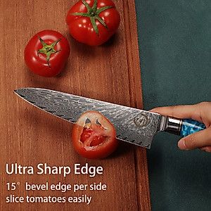 Chef Knife 8 inch, Fukep Damascus Chef Knife VG10 Core Steel with 66-Layers High Carbon Professional Sharp Chefs Knife 8" Blade Ergonomic Beautiful Blue Resin Handle Gift Boxed