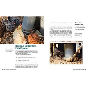Hentopia: Create a Hassle-Free Habitat for Happy Chickens; 21 Innovative Projects