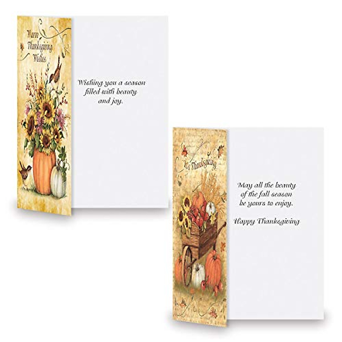 Current Harvest Thanksgiving Greeting Cards Set - Themed Holiday Card Variety Value Pack, Set of 6 Large 5 x 7-Inch Cards, Assortment of 3 Unique Designs, Envelopes Included