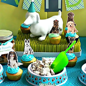 36Pcs Dog Party Cupcake Toppers Puppy Dog Party Decorations for Cute Pet Dog Baby Shower Supplies Kids Birthday Party Decoration