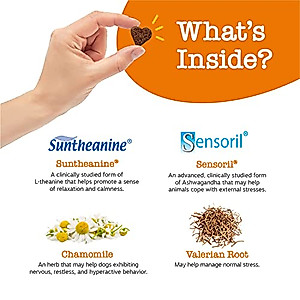 Zesty Paws Calming Chews for Dogs - Composure & Relaxation for Everyday Stress & Separation - with Ashwagandha, Organic Chamomile, L-Theanine & L-Tryptophan – Peanut Butter - 90 Count