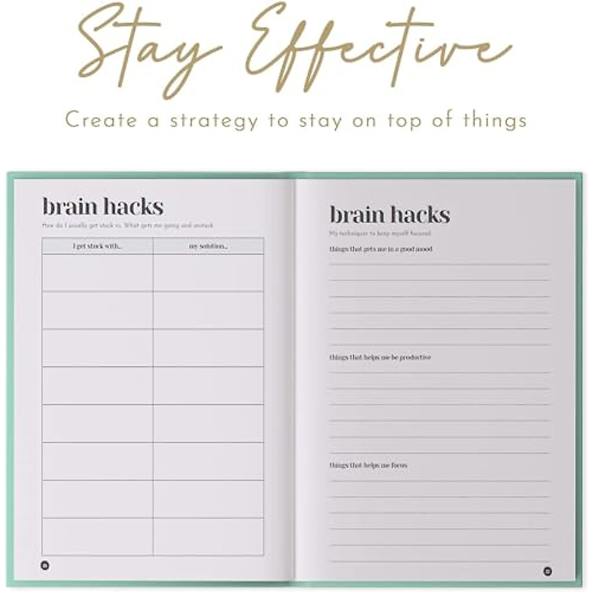 ADHD Planner for Adults: Focus and Productivity Planner - A planner for Neurodivergent Brains - Organization, Goal-Setting, and Time Management - Gift for Men and Women with ADHD