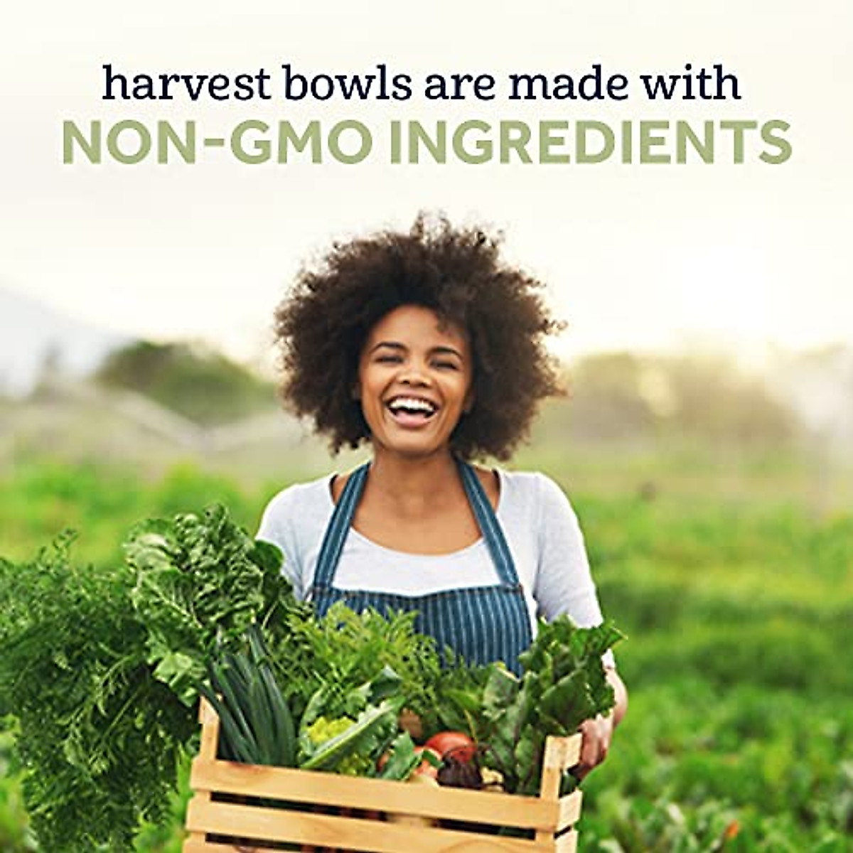 Gerber Mealtime Harvest Bowl, Pesto Pasta & Veggies, 4.5 Ounces (Pack of 8)