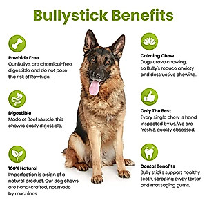 Sancho & Lola's Bully Sticks for Dogs Standard 9.5oz (10-12 Count) Made in USA - No Antibiotics No Growth Hormones, High-Protein Beef Pizzle Dog Chews
