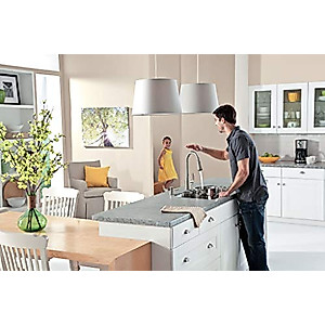 Moen 87359E2SRS Delaney One-Handle High Arc Pulldown Kitchen Faucet, Spot Resist Stainless