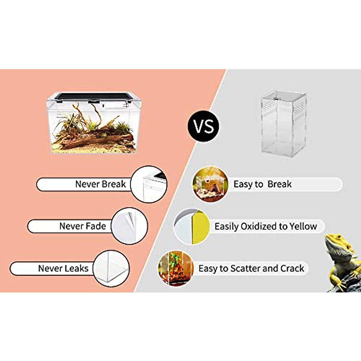 Reptile Growth Reptile Terrarium,16" x 8"x 10" Reptile Tank with Full View Visually Appealing，for Insect，Fish，Tarantula，Hermit Crab，Jumping Spider，Iguana，Tortoise，Leopard Gecko，Frog，Bearded Dragon