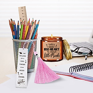 Teacher Appreciation Gifts for Women, Best Teacher Christmas Gifts, Stainless Steel Unique Funny Thank You/Retirement/Christmas/Birthday Baskets Gifts for Teachers