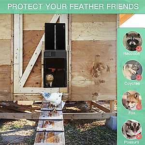 Issufel 2023 Upgraded Automatic Chicken Coop Door, Brown, Waterproof, Weatherproof, Durable, Protects Flock