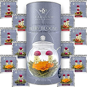 Teabloom Holiday Flowering Teas - 12 Assorted, Delicious Berry Blooming Teas - Premium Green Tea + Cranberry, Blueberry, Acai Berry & Strawberry