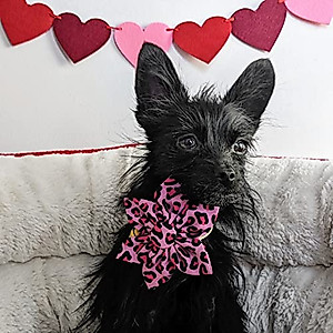 H&K Pet Pinwheel | Pink Leopard (Large) | Valentine's Day Velcro Collar Accessory for Dogs/Cats | Fun Pet Pinwheel Collar Attachment | Cute, Comfortable Pet Accessory