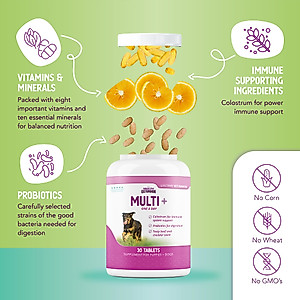 Health Extension Bundle - Dry Dog Food Chicken & Brown Rice Recipe (4 lbs) & Multivitamin (30 Tablets) - High-Protein, Balanced Nutrition for Dogs of All Life Stages