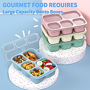 Bento Box Adult Lunch Box - 4 Pack, 5 - Compartment Meal Prep Container for Kids, Reusable Food Storage Snack Containers - Stackable for School, Work, and Travel (Wheat(Green/Blue/Pink/Beige))