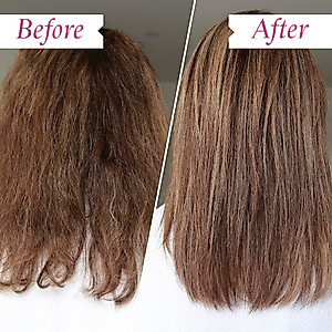 PHILIP KINGSLEY Elasticizer Deep-Conditioning Hair Mask Repair Treatment for Dry Damaged Colored Bleached All Hair Types Deeply Conditions Adds Bounce and Shine, 2.5 oz