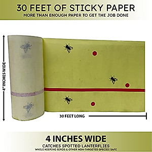 W4W, Spotted Lantern Fly Tree Trap - 4 Rolls (30 Feet Each Roll) - Lanternfly Tree Tape Creates a Sticky Barrier Protecting Trees from Harmful Insects - Non-Toxic