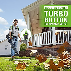 Greenworks 40V (165 MPH / 660 CFM / 75+ Compatible Tools) Cordless Brushless Backpack Leaf Blower, 8.0Ah Battery and Charger Included, Green