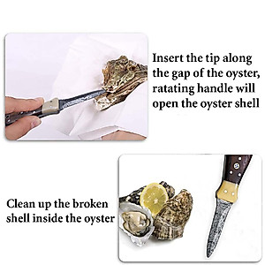 Oyster Shucker Knife Oyster Knife Damascus Steel Camel Bone & Walnut Handle Leather Sheath Seafood Opener Kit Tool Non Slip Handle (Walnut Handle)