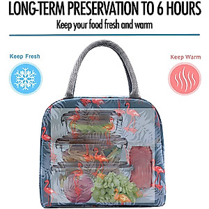 Mziart Insulated Lunch Bag for Women Men, Reusable Lunch Tote Lunch Box Organizer Cooler Bag with Front Pocket for Work Travel Picnic (Cute Flamingo)