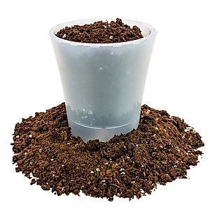 GARDENERA Money Tree Potting Soil, Soil Mix for Planting or Repotting Guiana Chestnut, Soil Blended to Properly Grow Money Tree Plants - (1 Quart Bag)