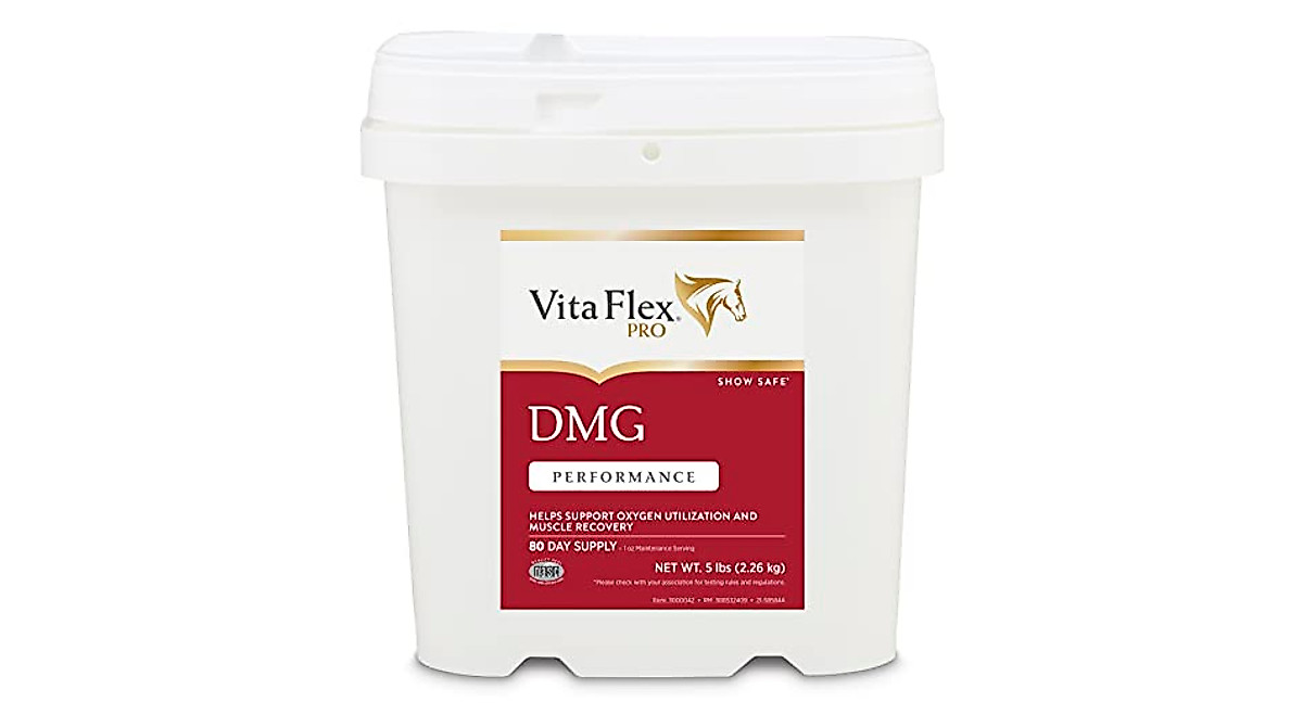 Vita Flex Pro DMG 1500 Horse Supplement for Performance & Recovery