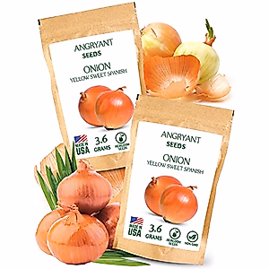 Yellow Sweet Spanish Onion Seeds for Planting Indoors and Outdoors - 1600+ Non GMO Seeds Per Packet - 100% USA Grown - Heirloom Seeds for Home Vegetable Garden