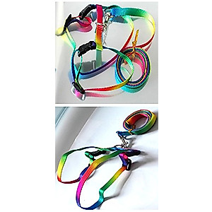 Rabbit Harness Lead Leash Soft Nylon, Adorable Colorful Rainbow Adjustable Harness Collar, Outdoor Walking Buckle Leash