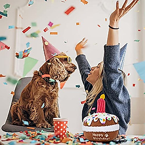 lilfrd Dog Birthday Cake Toy - Dog Birthday Girl Boy Gifts, Squeaky Plush Dog Birthday Toy
