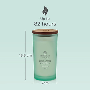 Chesapeake Bay Scented Candle, Balance + Harmony (Water Lily Pear) Large Tumbler Aromatherapy Candle, Long Burning Candles: up to 82 Hours, Mind & Body Collection, Gifts for Women