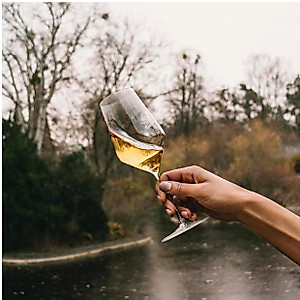 Zalto Denk'Art White Wine Glass made from Lead-Free Crystal | Boxed Set of 6