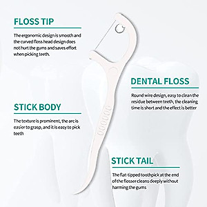 LEEGAWU Dental Floss Travel Floss Professional Toothpicks Sticks Dental Floss Picks Flossers with Travel Case Superfine Floss Picks Dental Picks for Teeth Cleaning (300count)