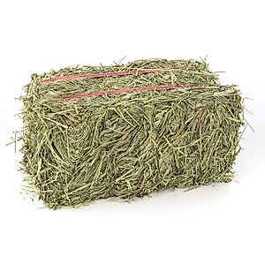 Grandpa's Best Timothy Hay Bale, 5lbs