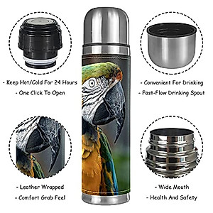 Animal Parrot Vacuum Insulated Water Bottle Stainless Steel Thermos Flask Travel Mug Coffee Cup Double Walled 17 OZ