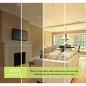 Sterl Lighting 70w Par38 High Output 90 Watt Replacement PAR38 Halogen Dimmable Floodlight E26 Base 120V 4.8In 800 Lumens Canister Spot Light Outdoor Flood Light Bulbs 70PAR38/FL 2700K WW Clear 2 Pack