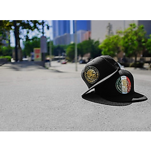 The Pride Mexican Flag Hat Men Women Glossy Detailed Custom Shield Patch Baseball Hats Mexican Eagle (BK-Bk-Chrome)