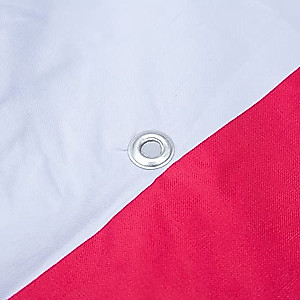 Outsunny 10' x 10' Pop Up Canopy Tent with Netting and Portable Carry Bag, Instant Sun Shelter, Tents for Parties, Height Adjustable, for Outdoor, Garden, Patio, American Flag