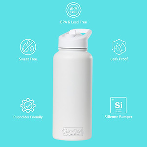 Sip+Sea St. Kitts 32 oz Stainless Steel Water Bottle with Straw Lid|Double Wall Vacuum Insulated