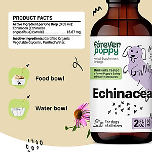 Echinacea Tincture for Dogs - Immune Support for All Breeds & Sizes w/Echinacea Herb - Immune Health Drops for Pets - Dog Food Supplements for Immunity w/Echinacea Liquid Extract - 2 oz