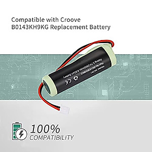 TEOEBGO Digital Amplifier Battery (3.7V, 2600 mAh) Compatible with Croove- B0143KH9KG Replacement Battery