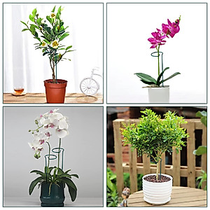 Plant Stake Support 14 Packs 16 Inches，Single Stem Stake Plant Cage Support Ring，Garden Single Stem Plant Stakes for Flowers Amaryllis Orchid Lily Rose Tomatoes…