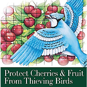 Dalen Bird X Protective Mesh Netting - Keep Birds and Pests Away from Your Garden – Non Toxic - Made in The USA - 14' x 14'