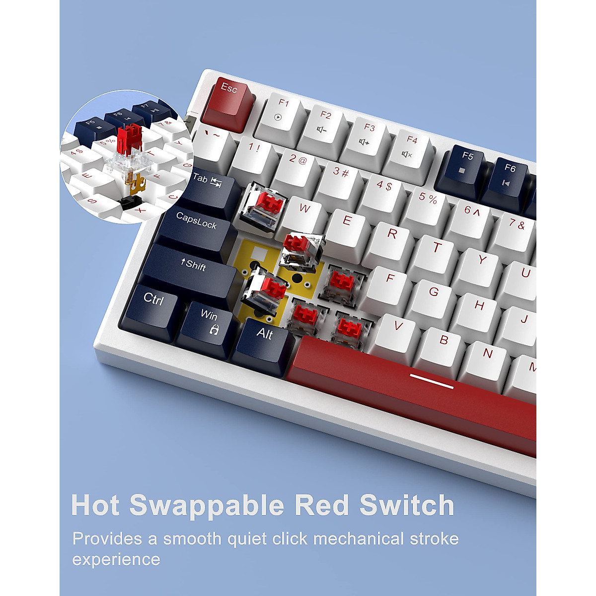 Camiysn Compact 80% Mechanical Keyboard, 98 Keys Hot-Swappable Gaming Keyboard with Number Pad, Gaming/Office Ergonomic Keyboard with Red Switches for Windows Mac PC, Grey Black